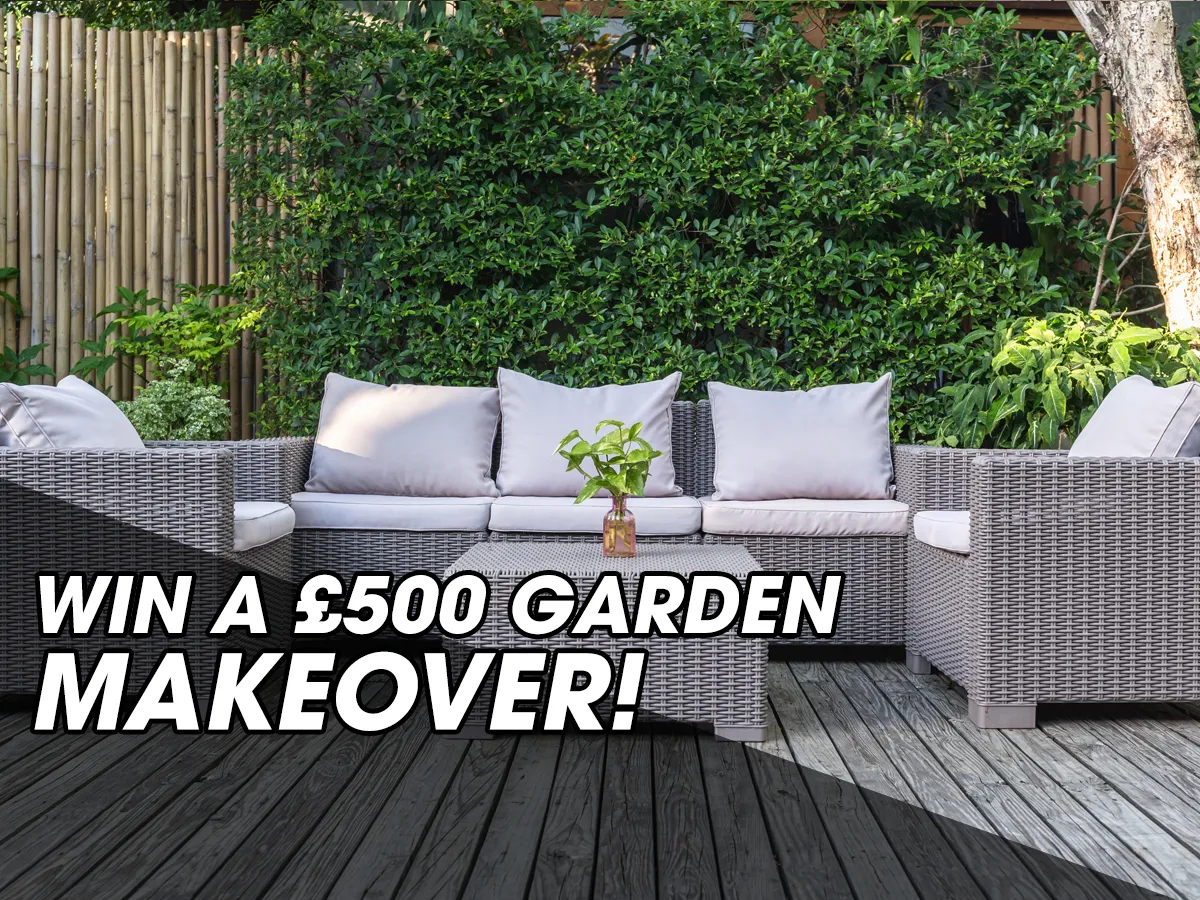 Win+ | Great Prizes. Real Winners.